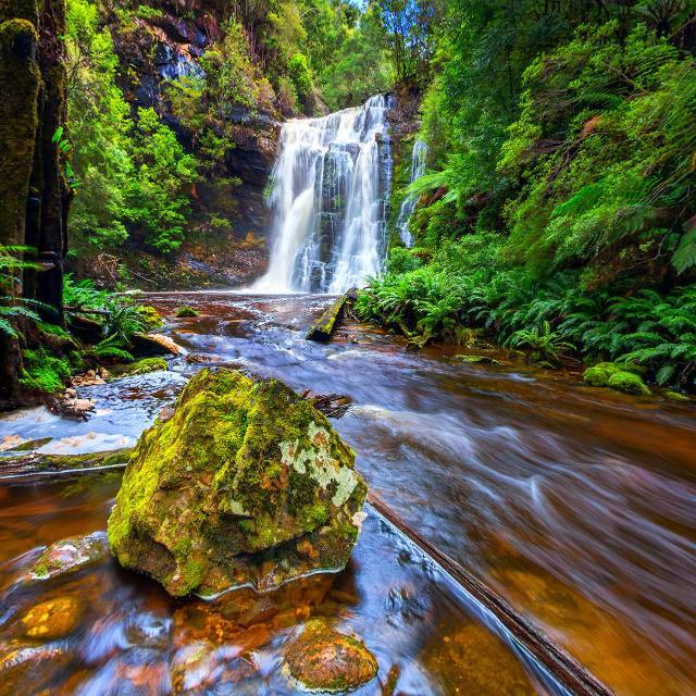 Kuula Official on Kuula