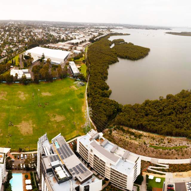 Andrew Lowy on Kuula