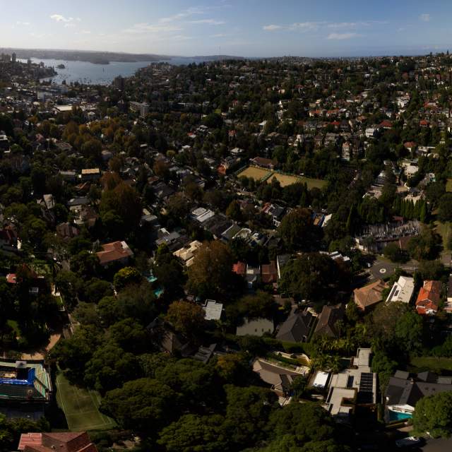 Andrew Lowy on Kuula